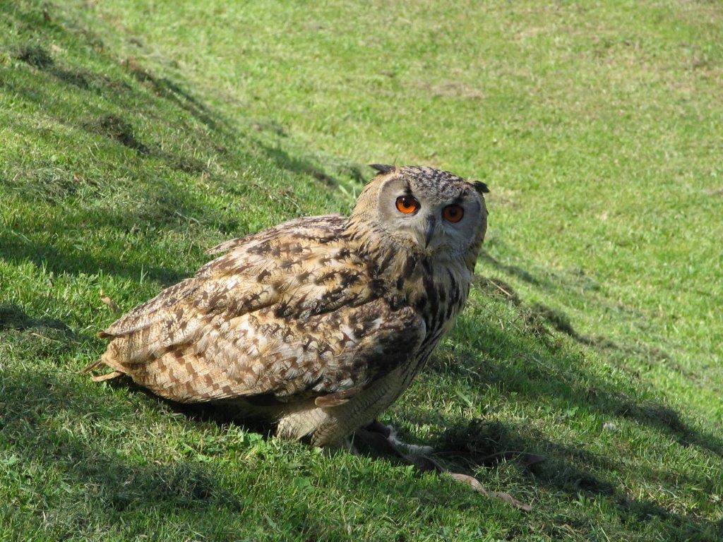 Mount Parnon – Cape Maleas - Man and the Biosphere Programme (MAB)