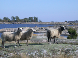 Blekinge Archipelago - Man and the Biosphere Programme (MAB)