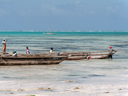 Jozani-Chwaka Bay - Man and the Biosphere Programme (MAB)
