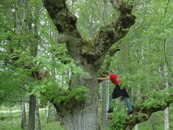 East Vättern Scarp Landscape - Man and the Biosphere Programme (MAB)