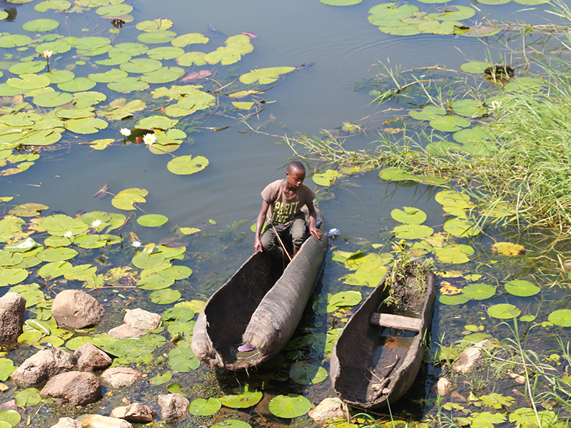 Gombe Masito Ugalla - Man and the Biosphere Programme (MAB)